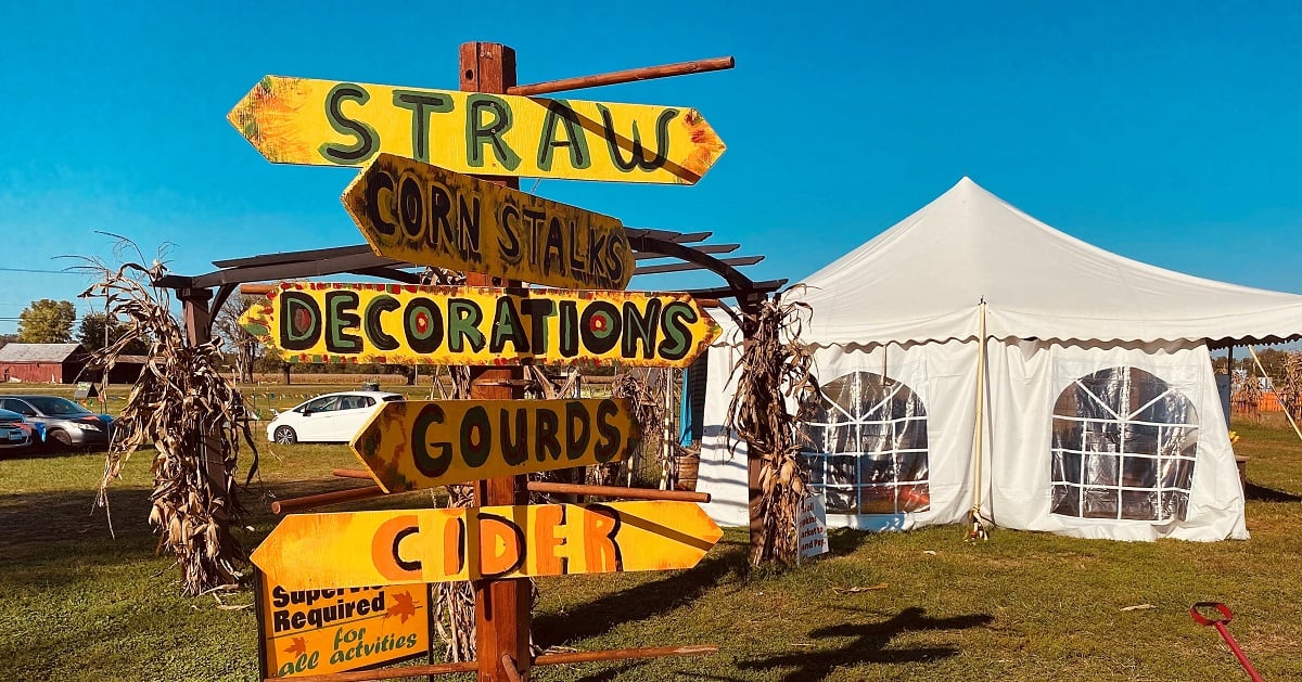 A Guide to Fall: 10 things to do in Cincinnati